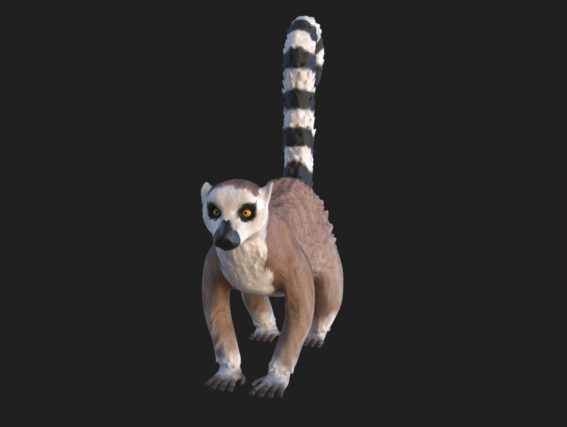 ArtStation - Wandering Lemur
