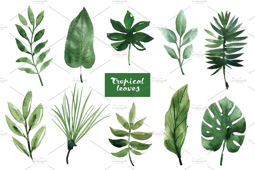 ArtStation - Watercolor tropical leaves