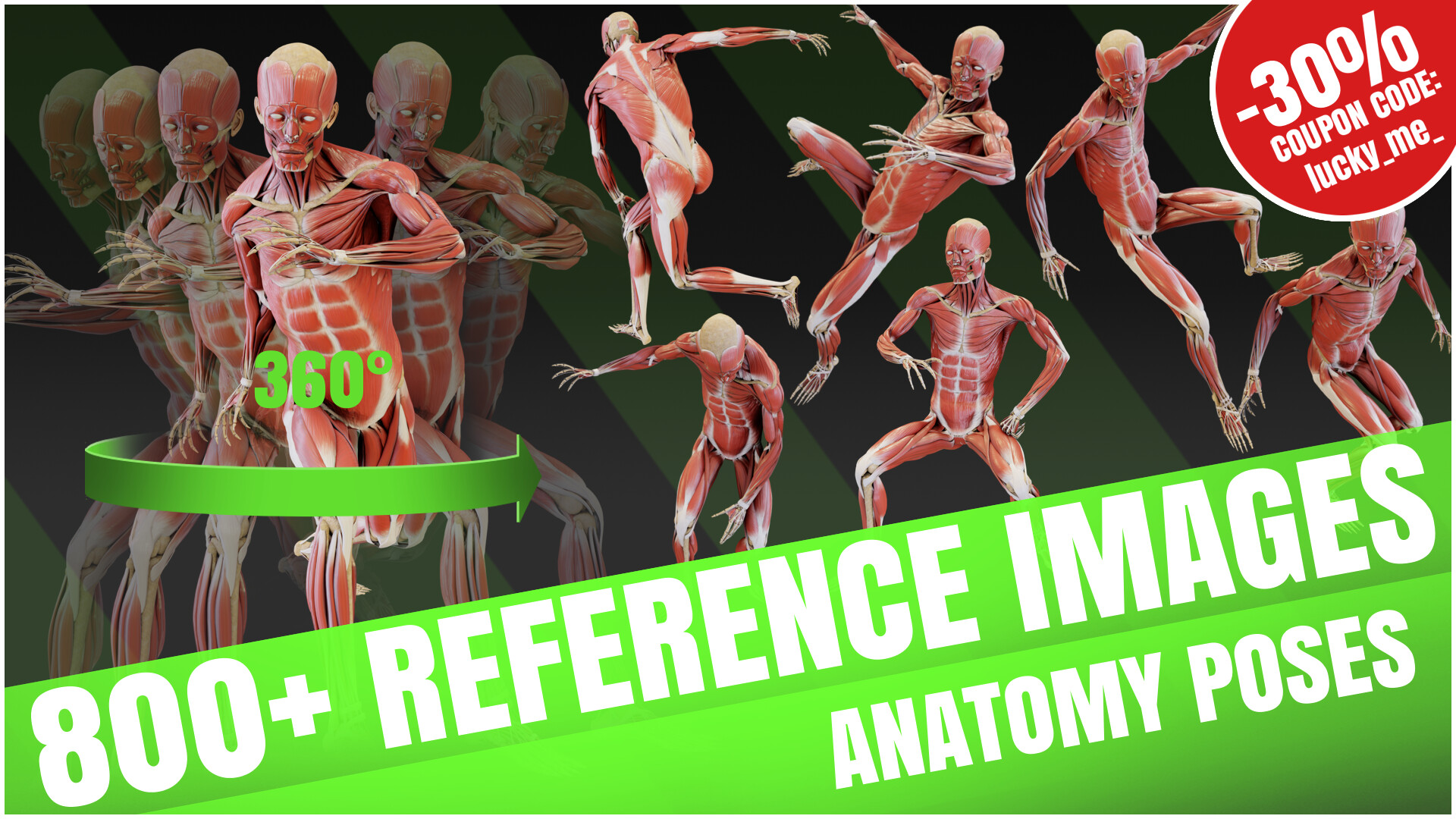 ArtStation - Ecorché Anatomy Poses - 800+ Reference Images (Turnaround ...