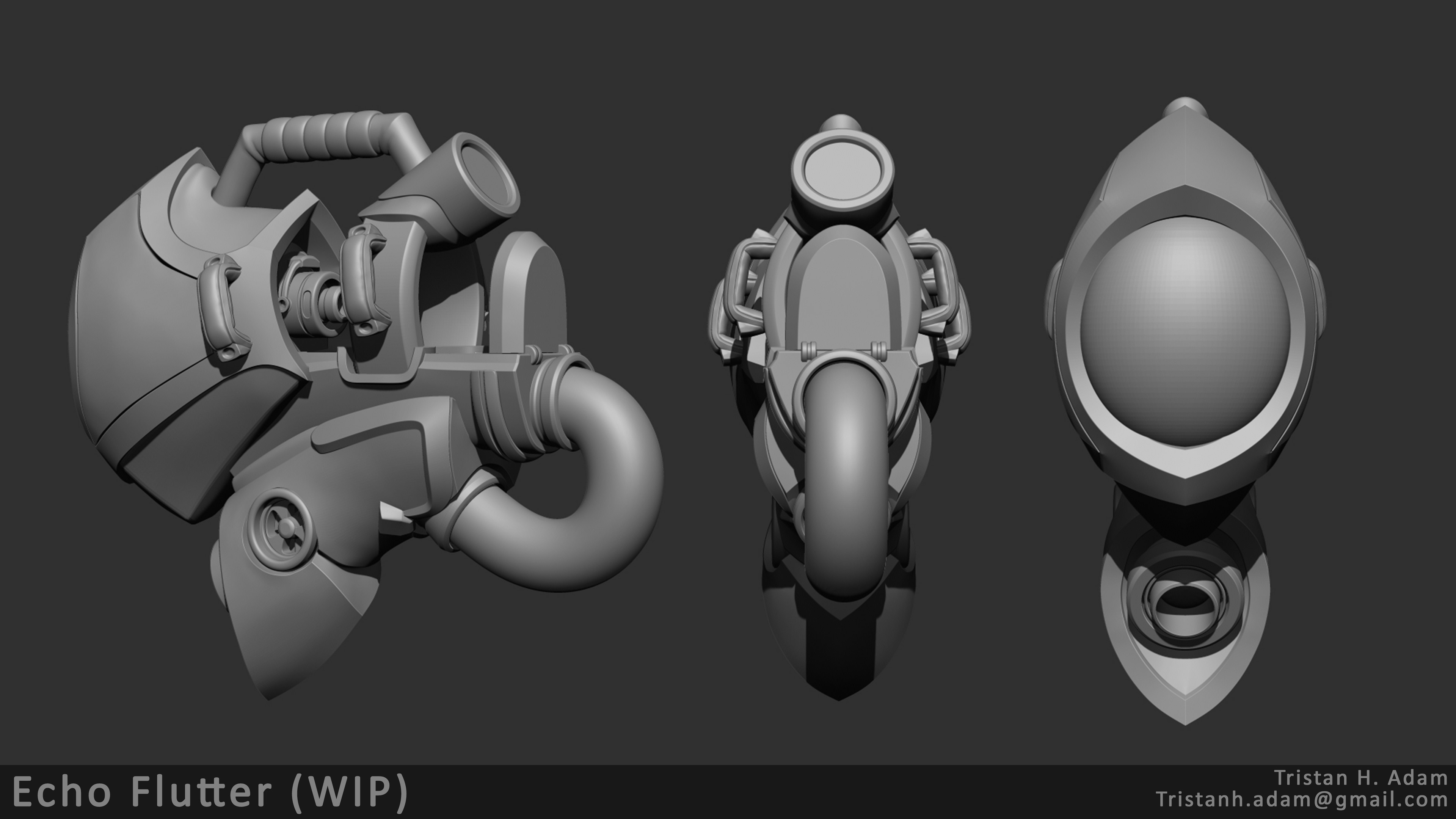 Tristan H. Adam - Echo Flutter WIP