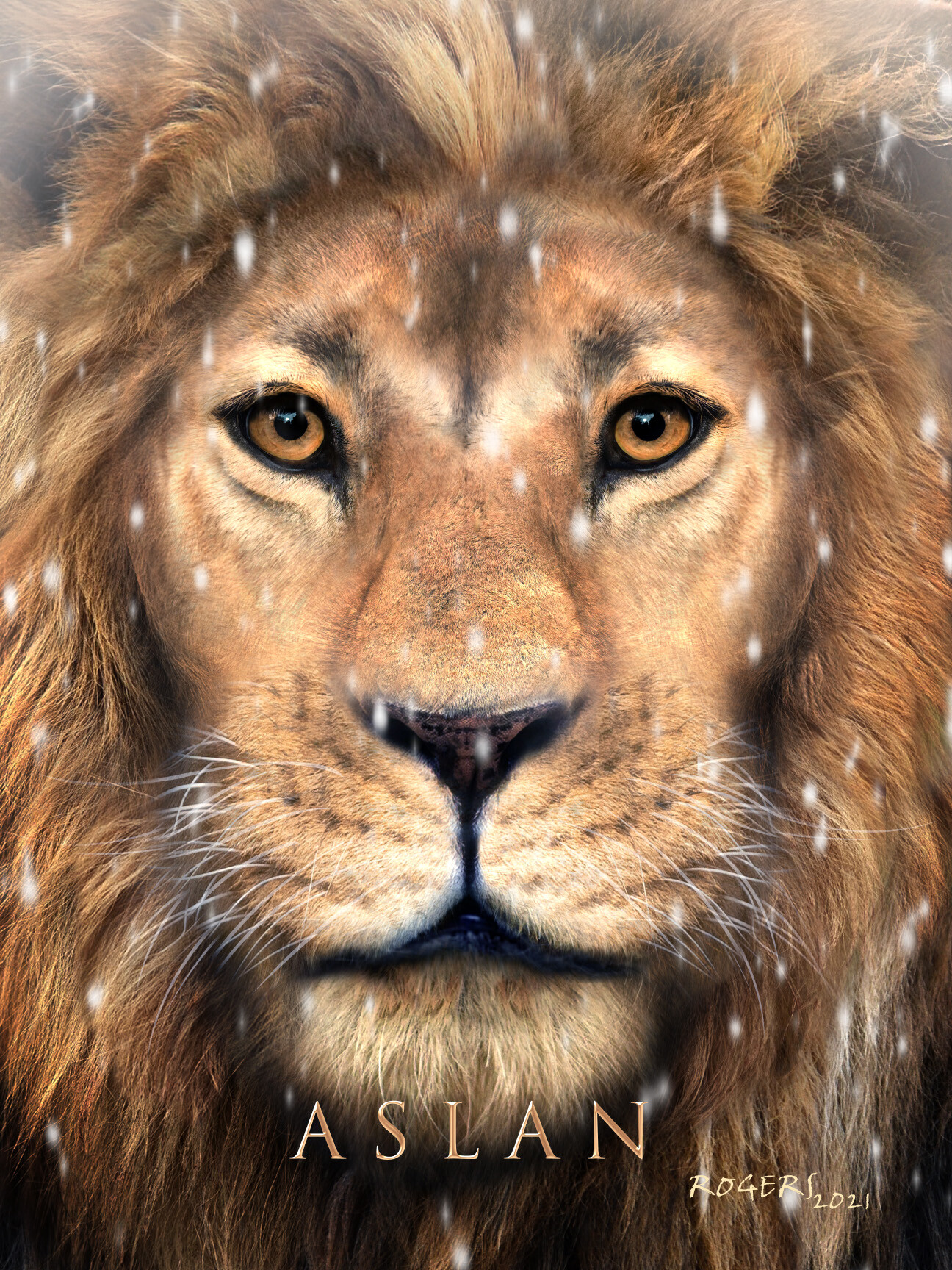 Narnia The Lion The Witch And The Wardrobe Aslan