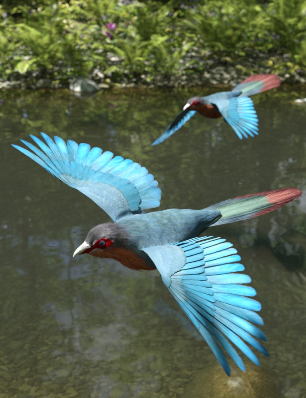 ArtStation - Chestnut-breasted Malkoha