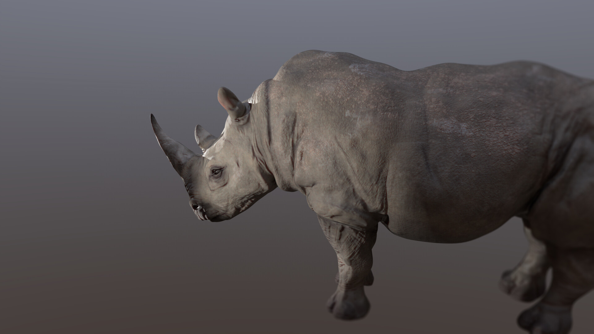 ArtStation - Rhino