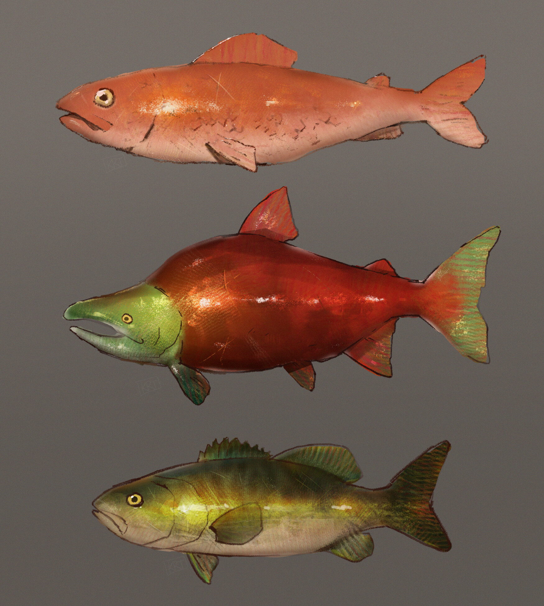 ArtStation - fish