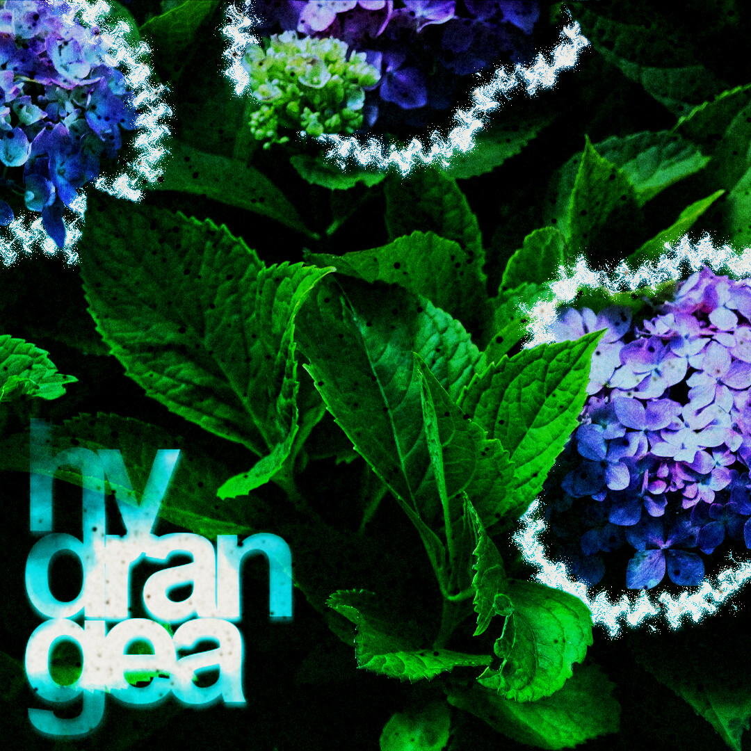 ArtStation - flowers