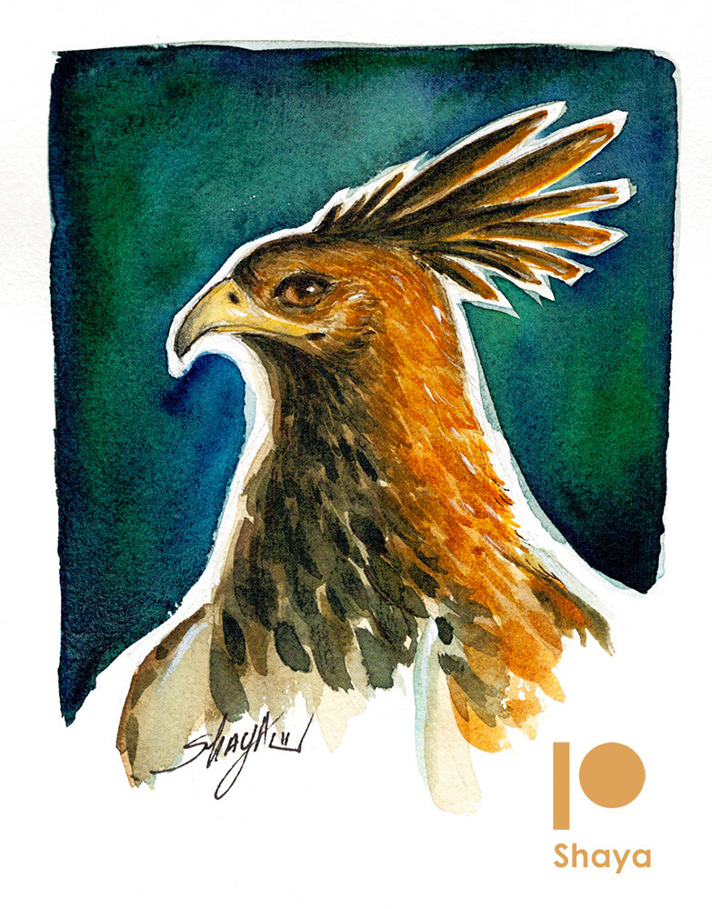 ArtStation - Long Crested Eagle study