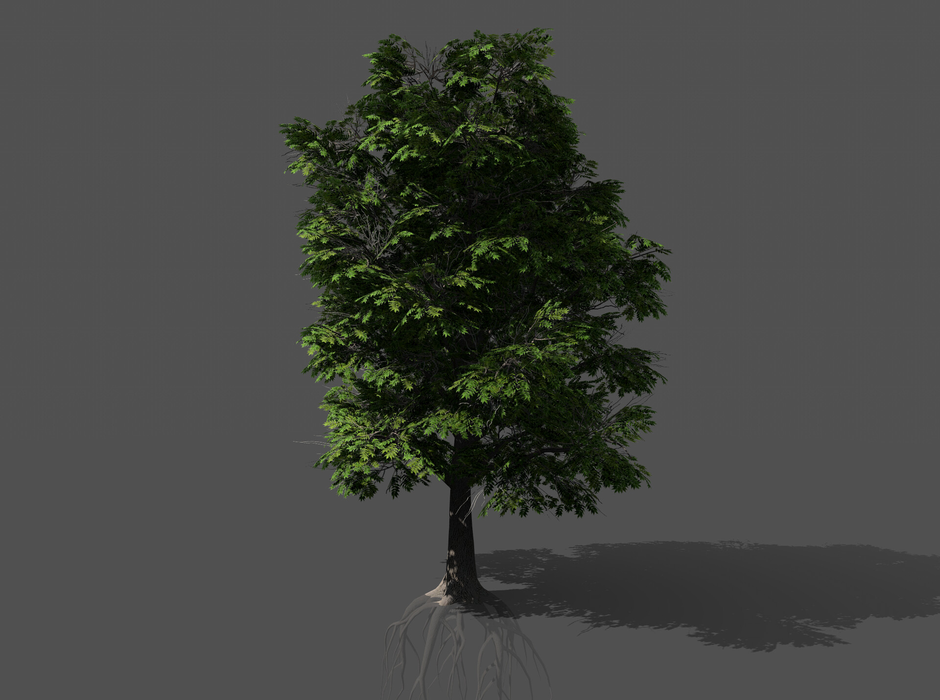 Vlad Milosevic - enviroment sorted