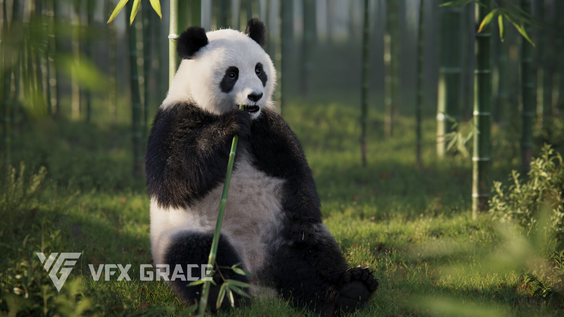 ArtStation - Panda - Character Asset