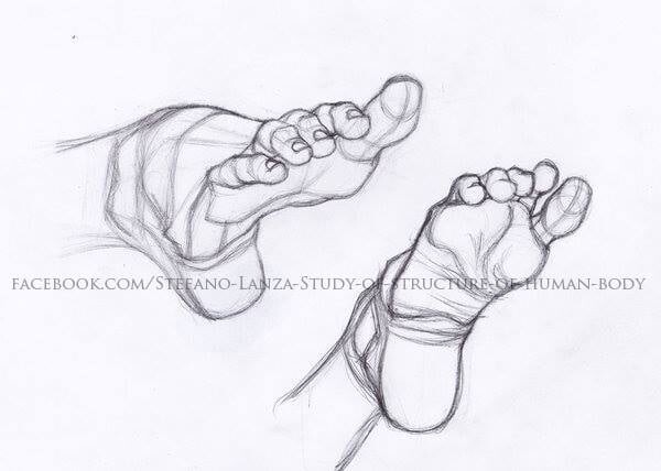 ArtStation - Artistic Anatomy