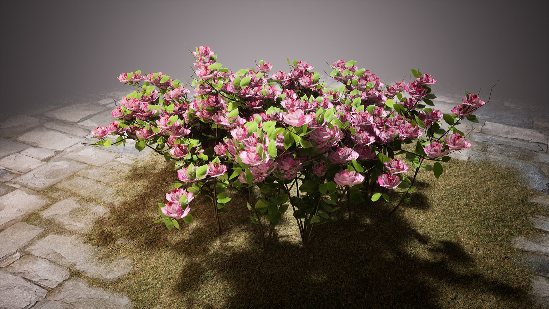ArtStation - Procedural rose bush with four seasons