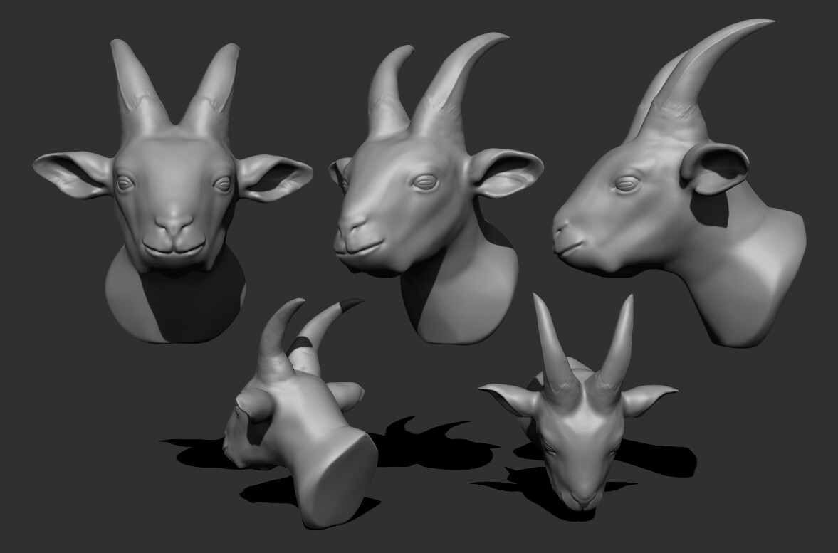 ArtStation - ZBrush Goat Head