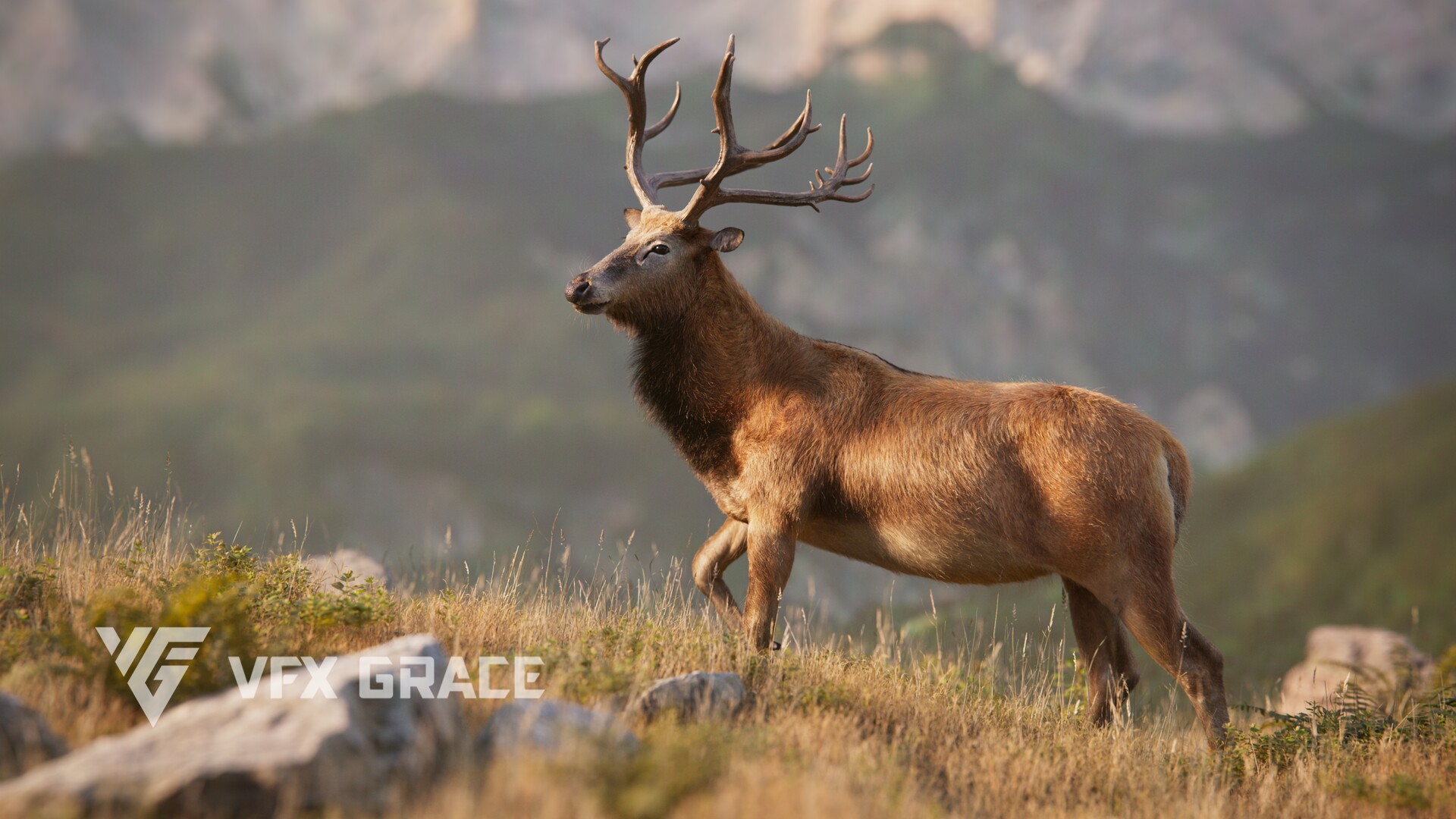ArtStation - Male Deer Animated