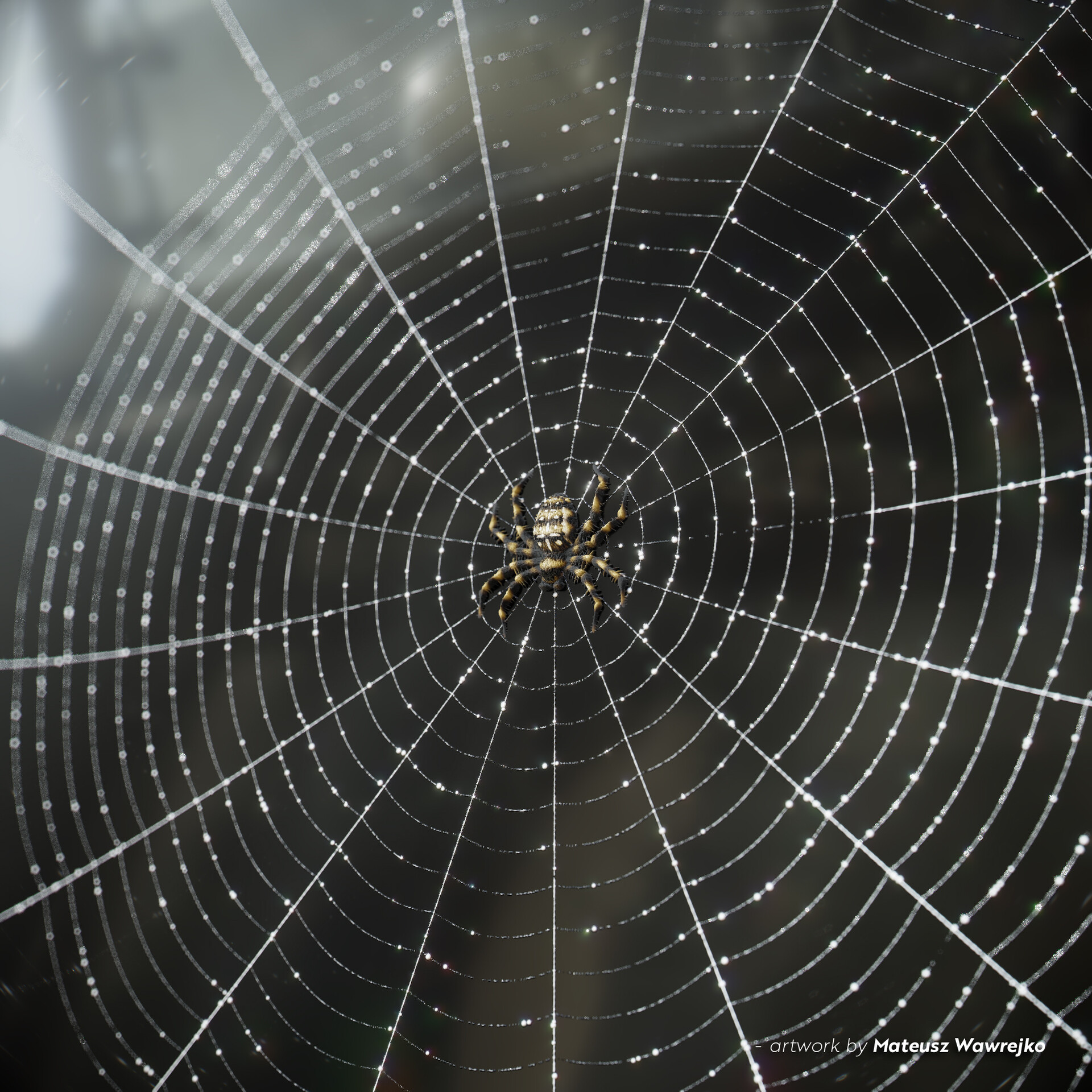 ArtStation - Spider web