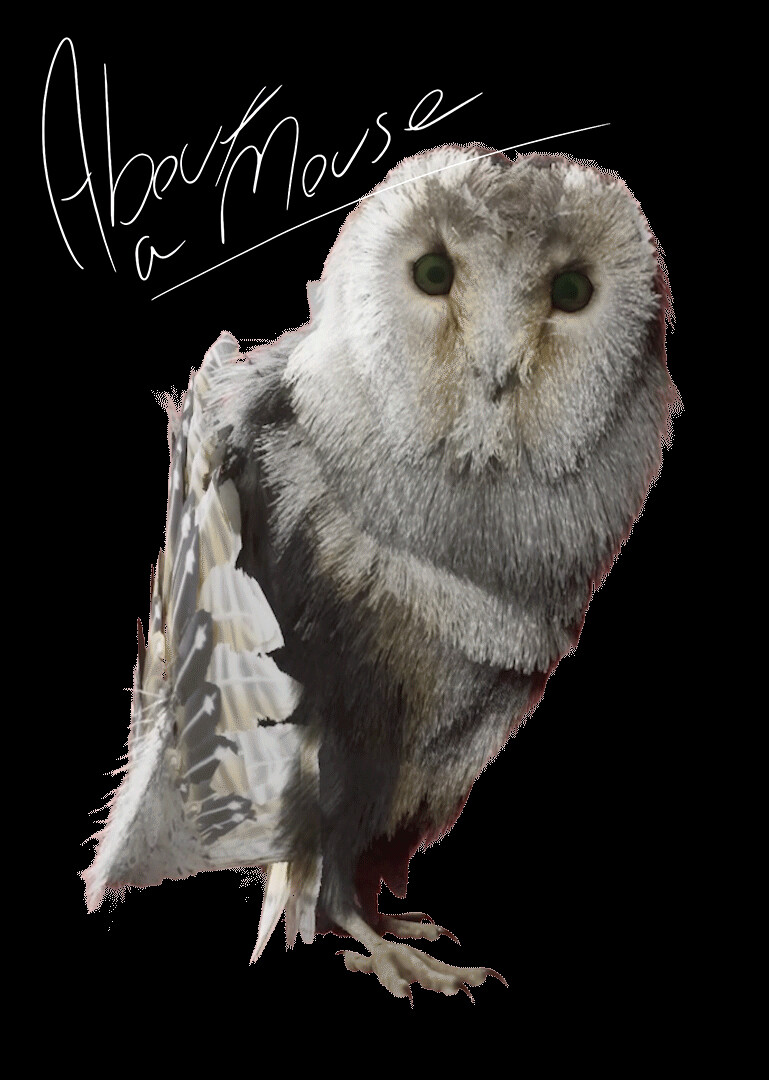 ArtStation - About a Mouse - Owl