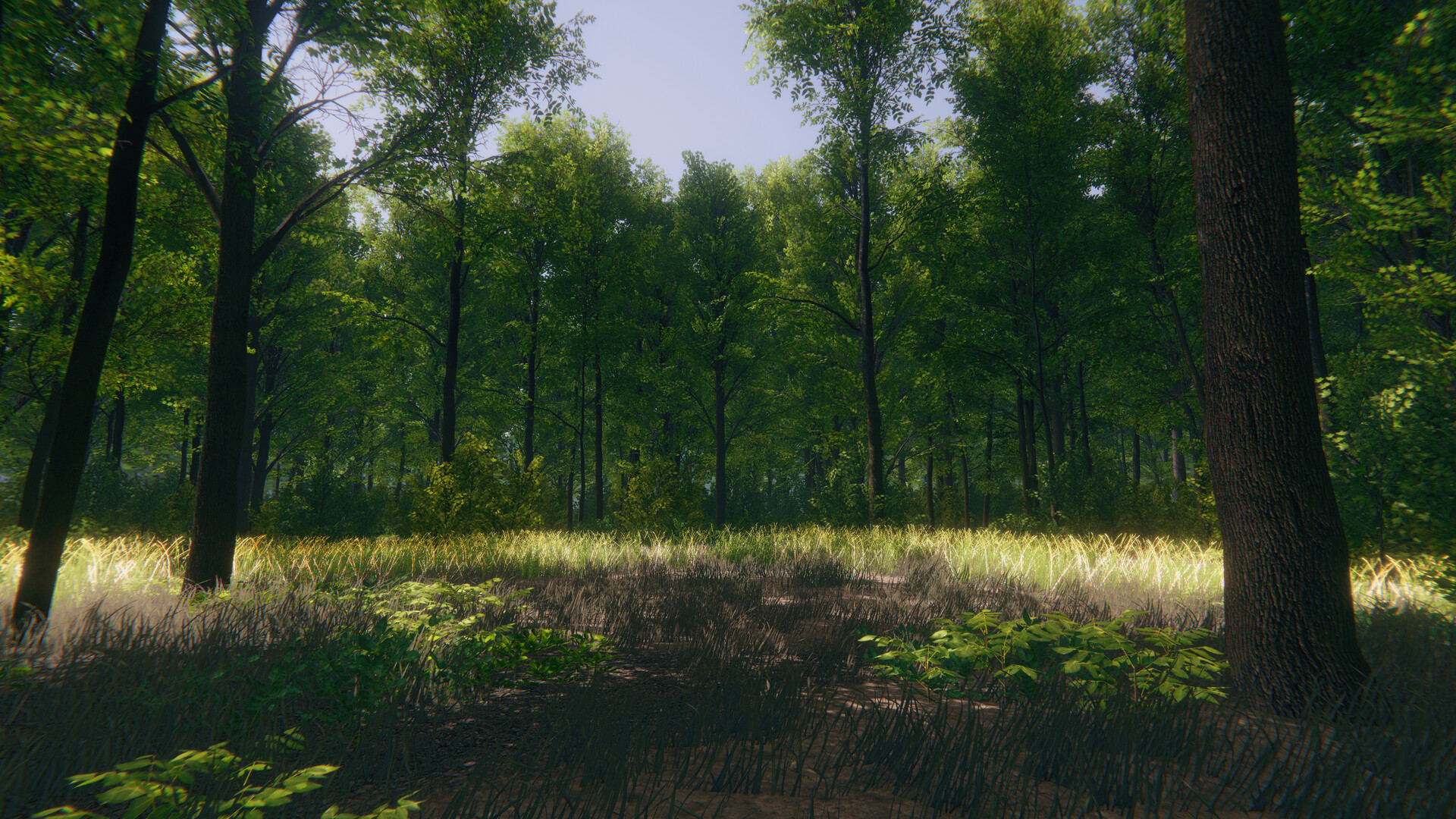 ArtStation - Stylized Forest