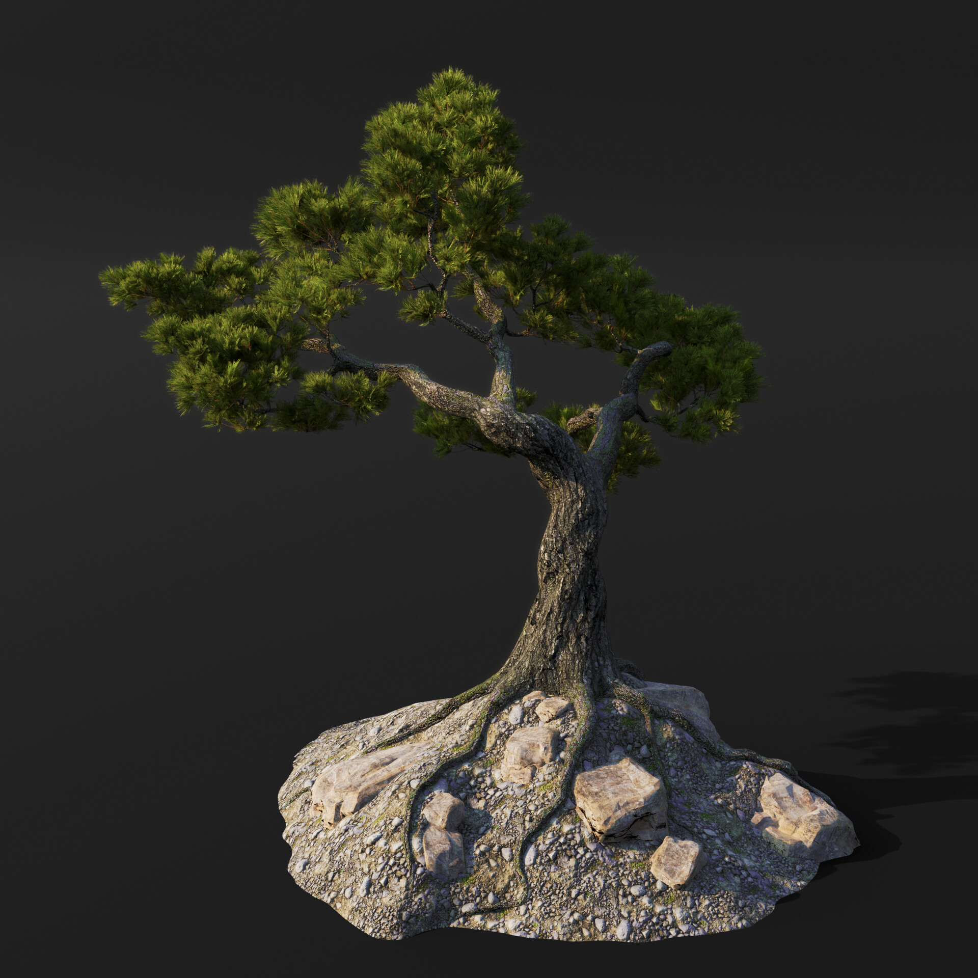 ArtStation - Pine tree prop crafted for use in Unreal Engine.