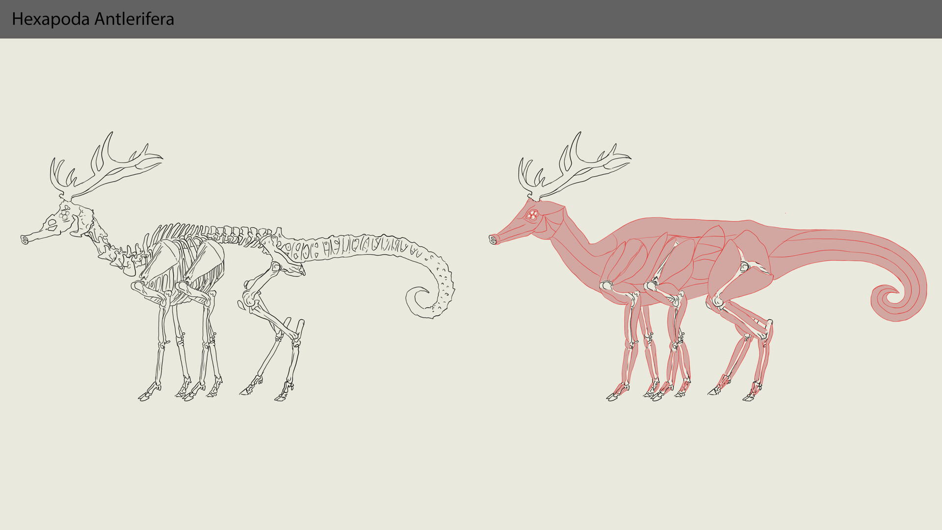 Liam Bain - Hexapoda Antlerifera