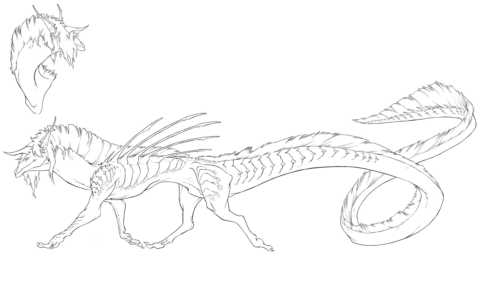 Fernanda Adami - Kante Reference Sheet