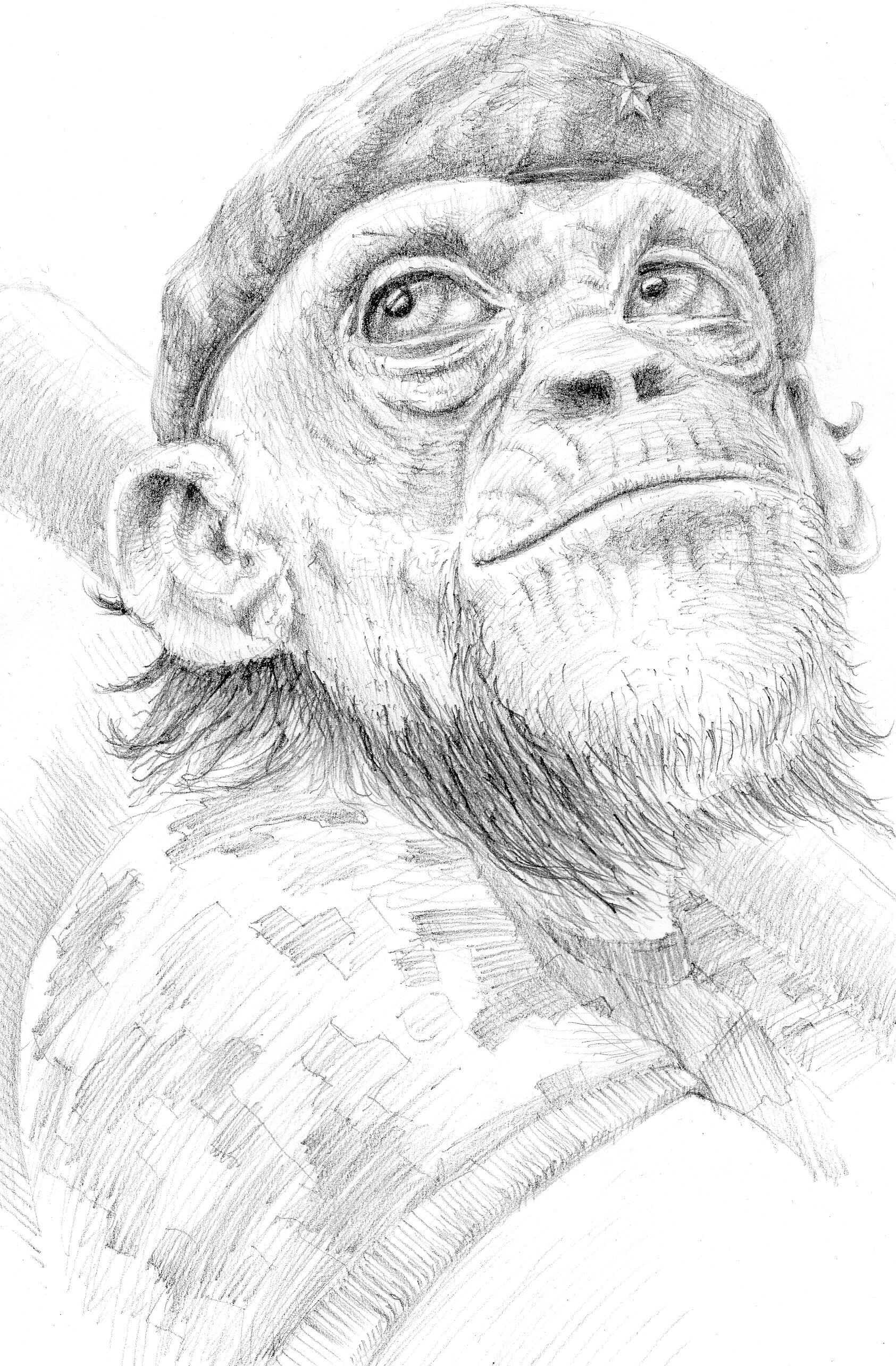 ArtStation - pencil drawing, chimpanzee Che Guevara