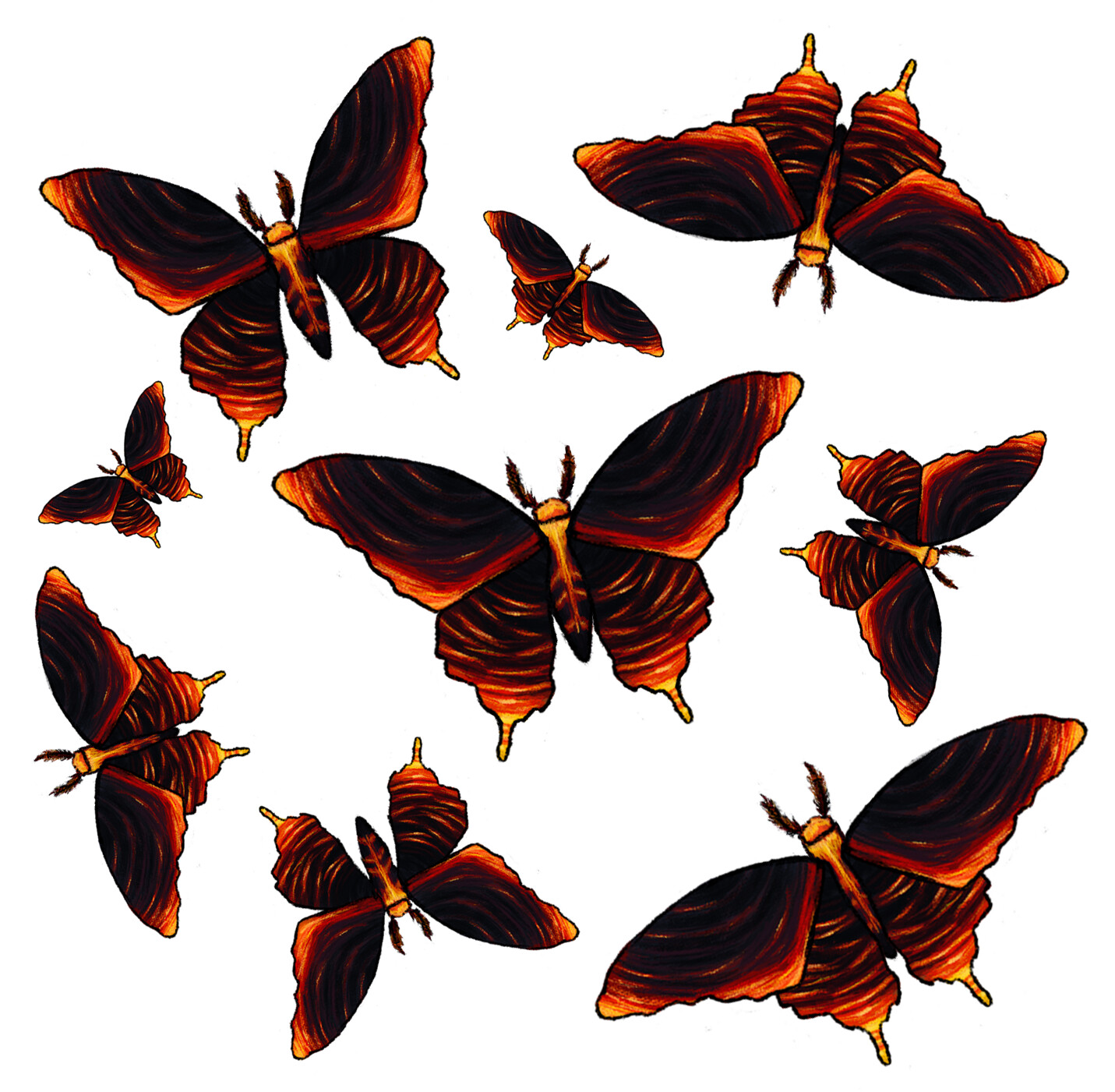 ArtStation - LAVA MOTHS