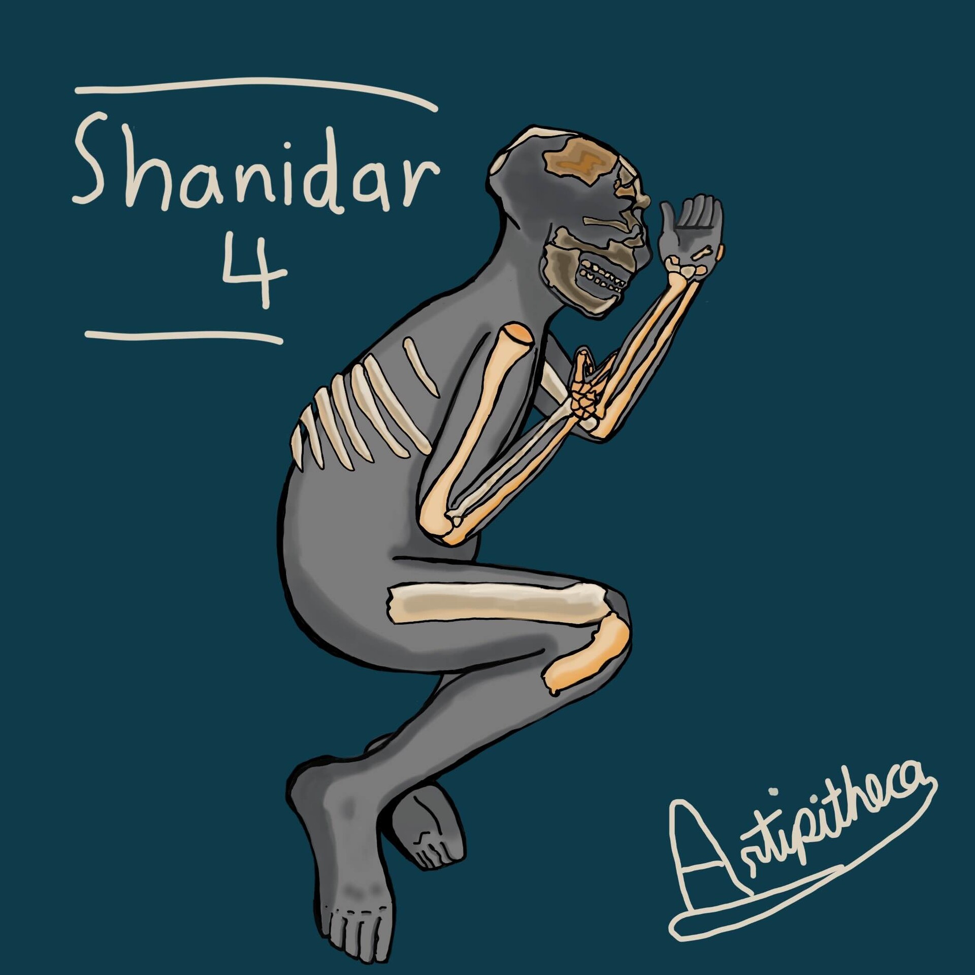 Artipitheca - Sarah E. Seeley - Comic Schematic of Shanidar 4 Burial