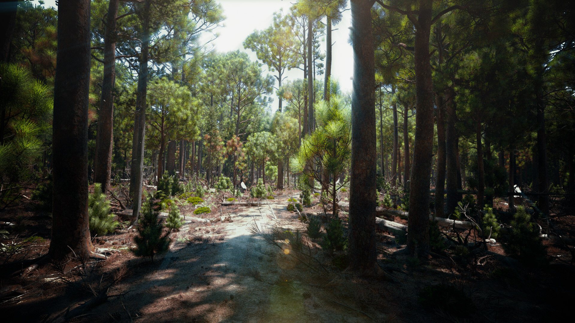 ArtStation - Forests (Various Atmospheres)