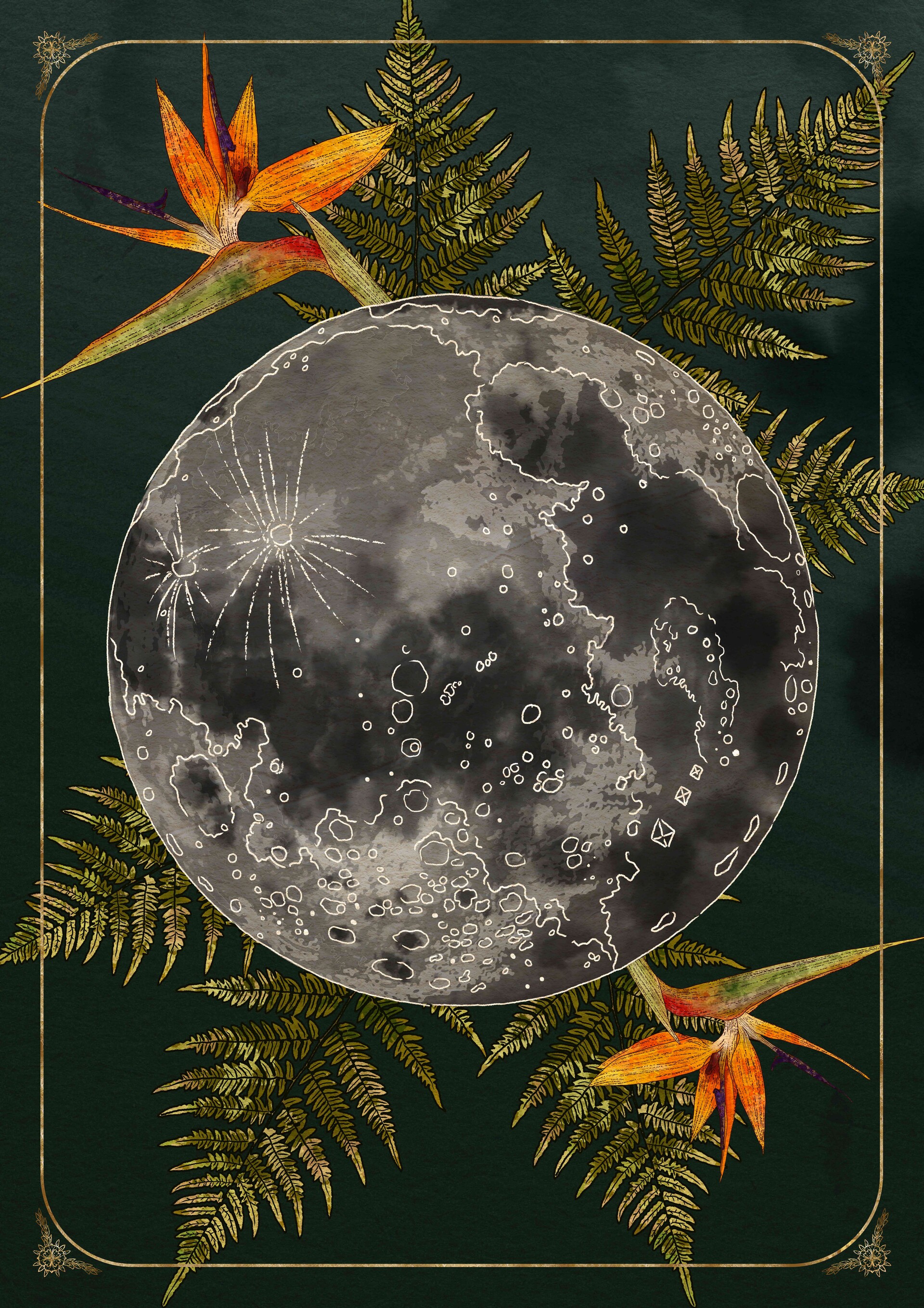 Flora.Ars- Isabel M - Moon and Fern