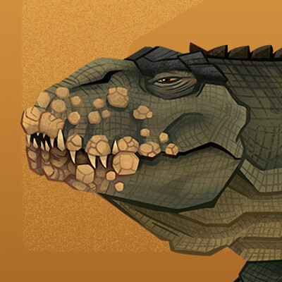 Greco Westermann - Portfolio