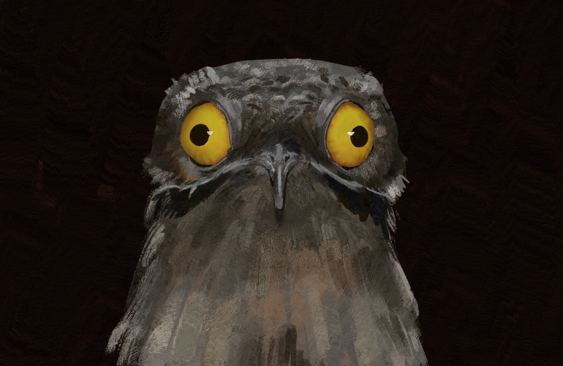 ArtStation - Study of a potoo
