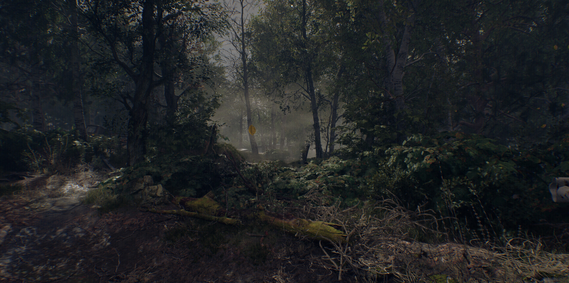 ArtStation - Radiation Rich Forest 🌳 | Unreal Engine 5 | Ultra Realistic Level Design