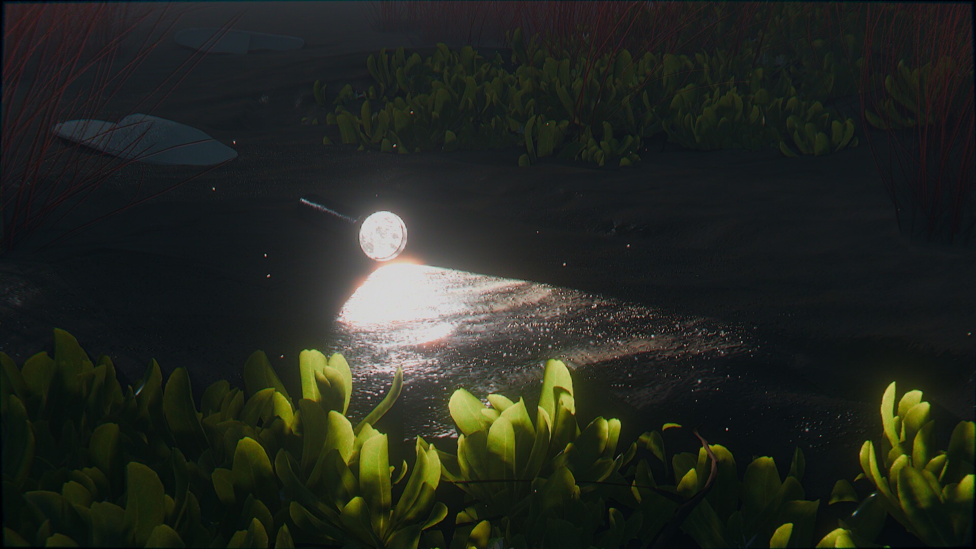 ArtStation - luna wip 3