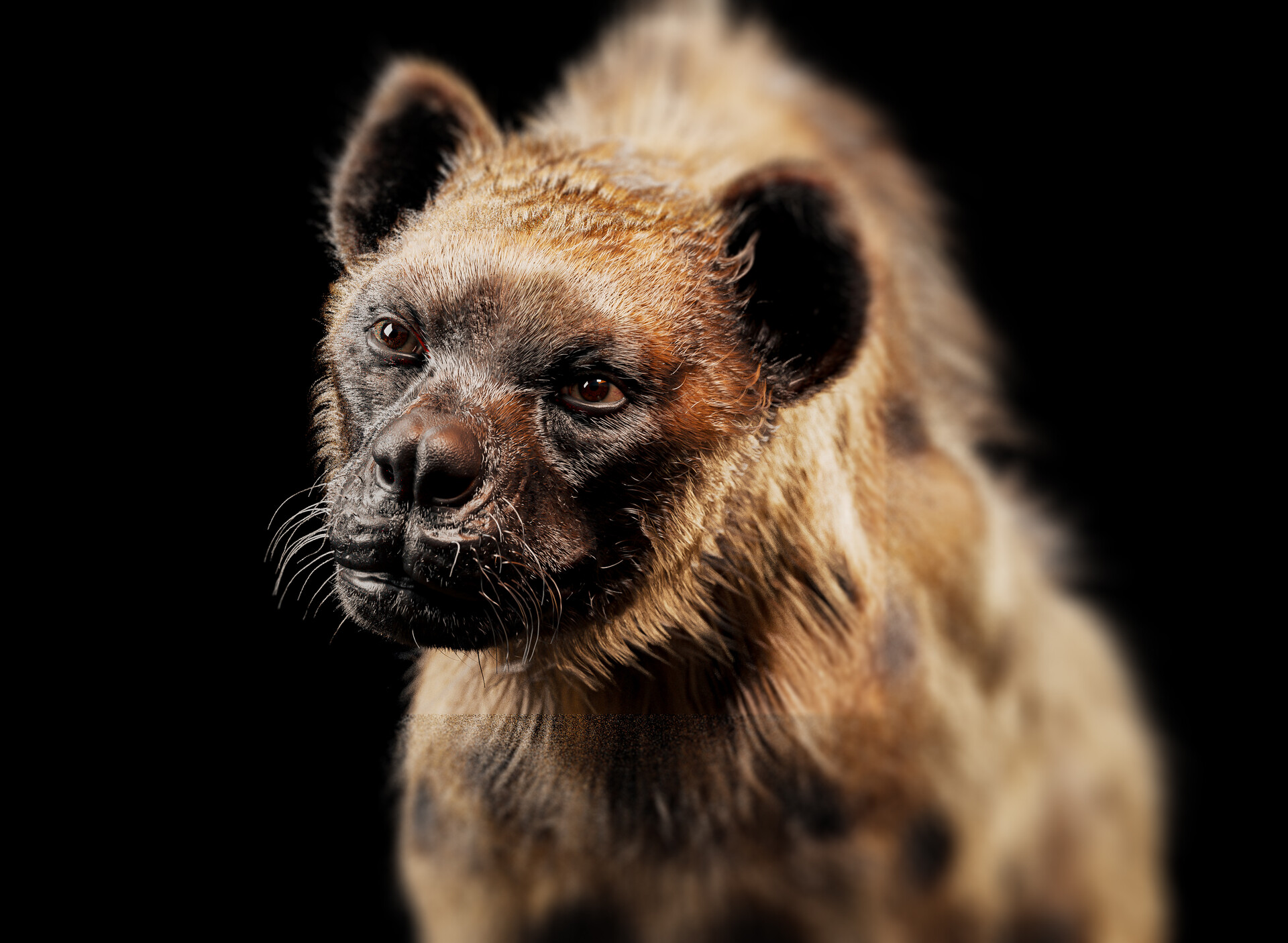 ArtStation - Realistic CGI Animal | HYENA