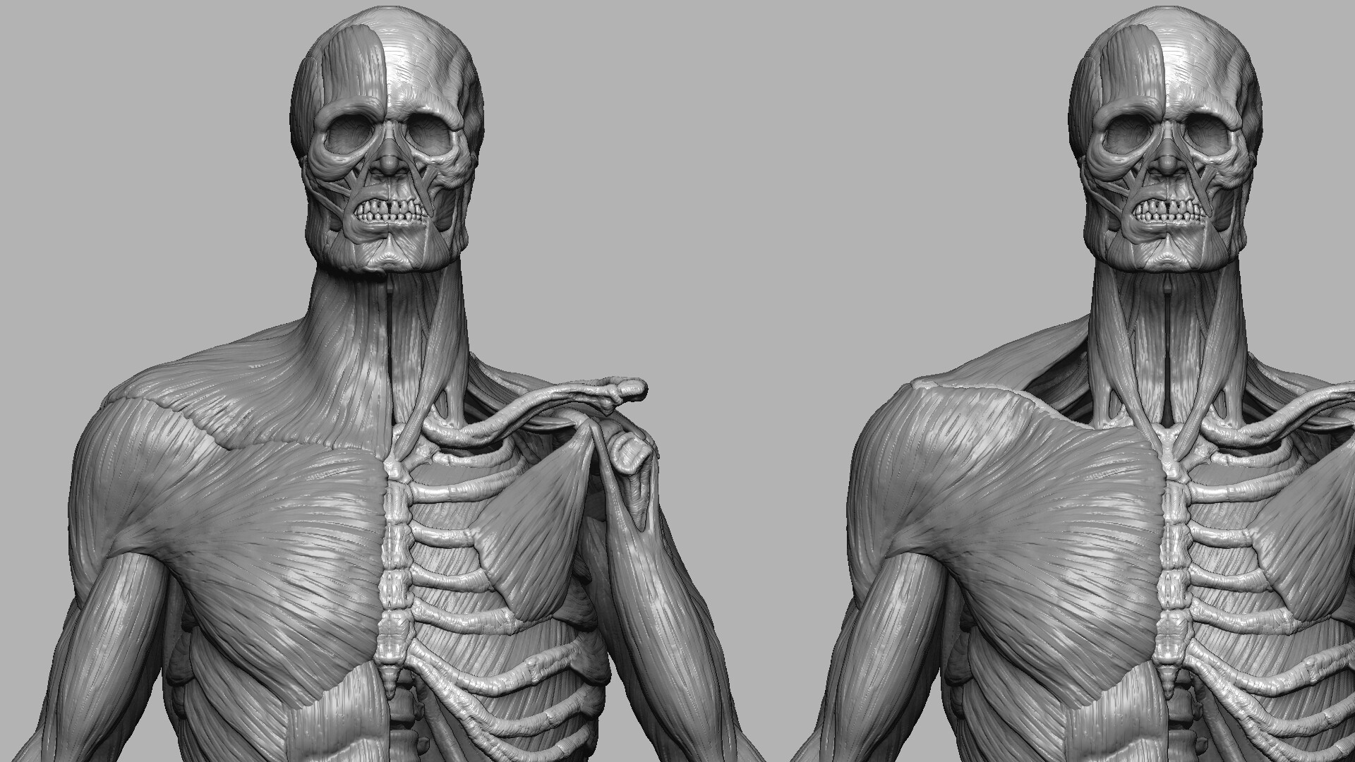 ArtStation - Anatomy practice 01