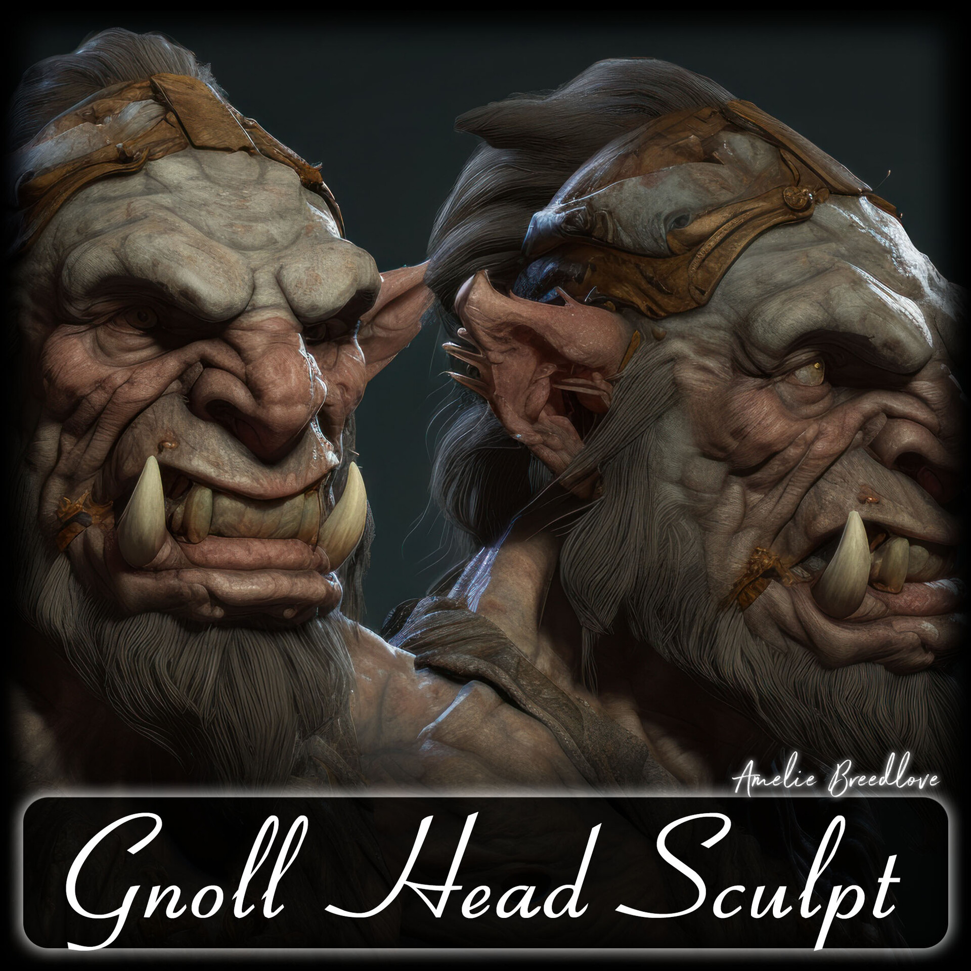 ArtStation - 300 Gnoll Head Sculpt Reference Pack | 4K | v.124