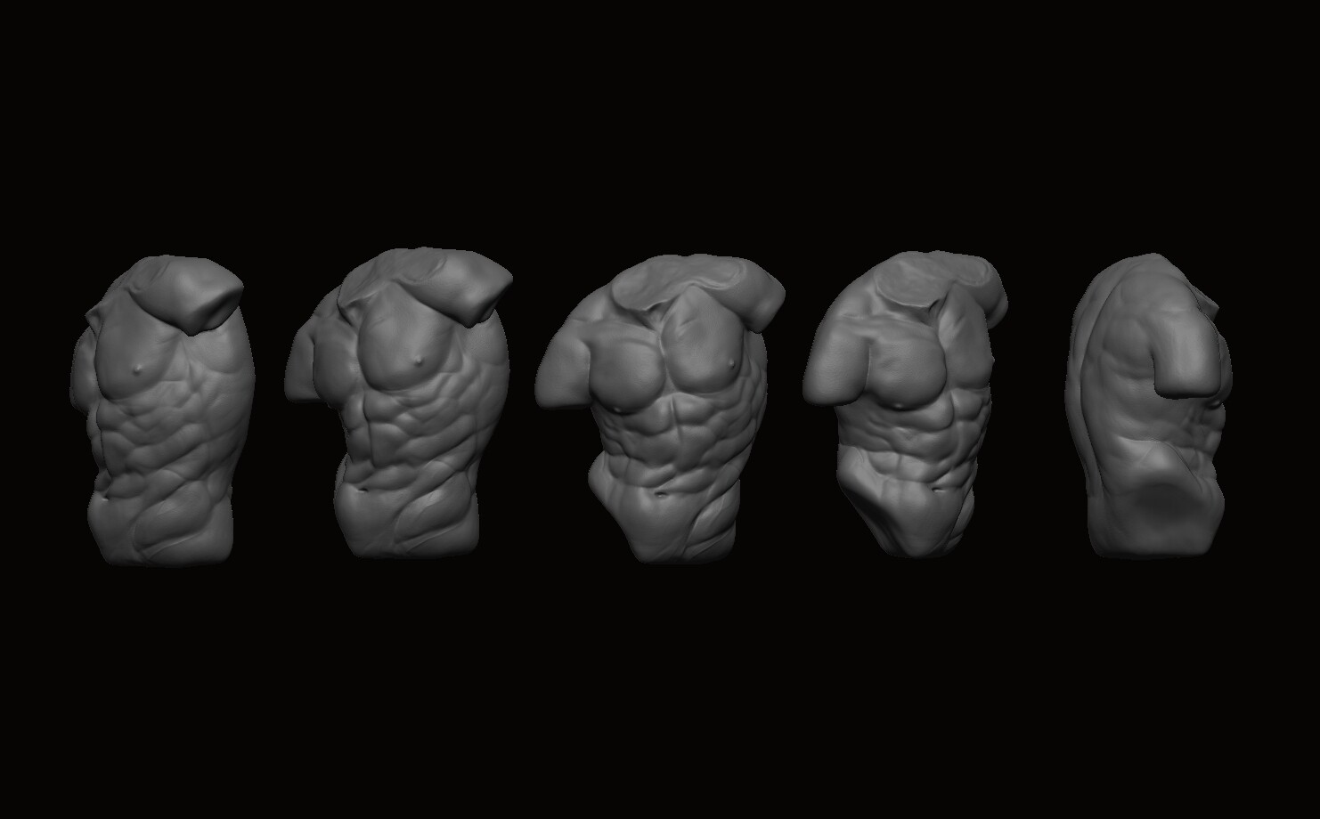 Yashvi Sompura - Gaddi Torso (Anatomy study)