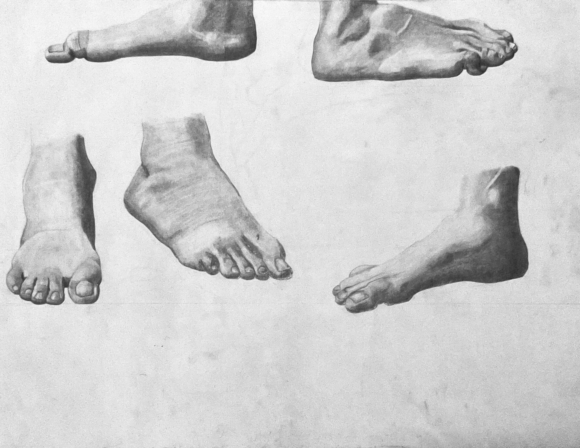 ArtStation - Feet Anatomy - Worksheet