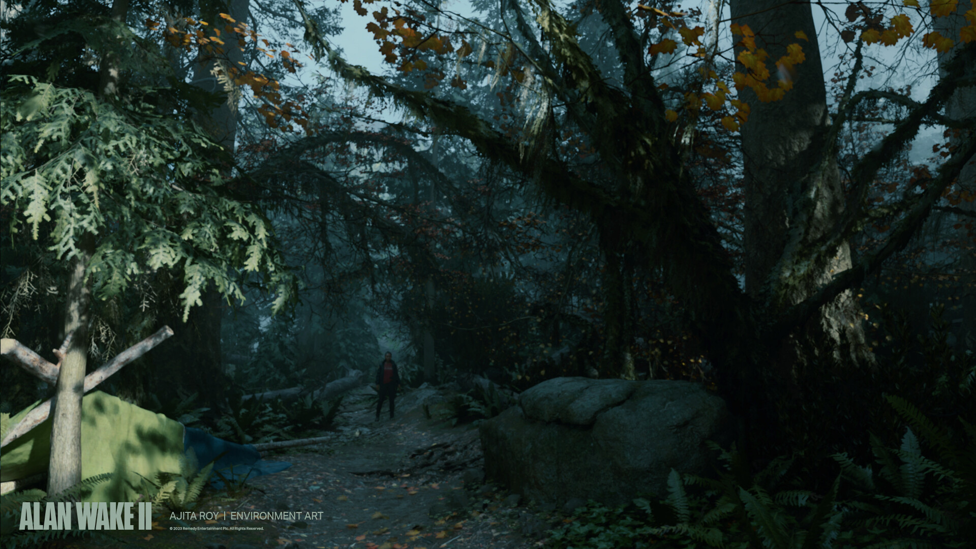 Ajita Roy - Cauldron Lake - Primordial Forest