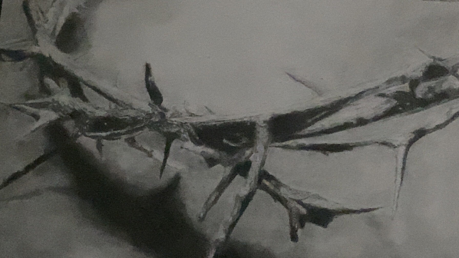 ArtStation - Hyper-Realistic Crown of Thorns