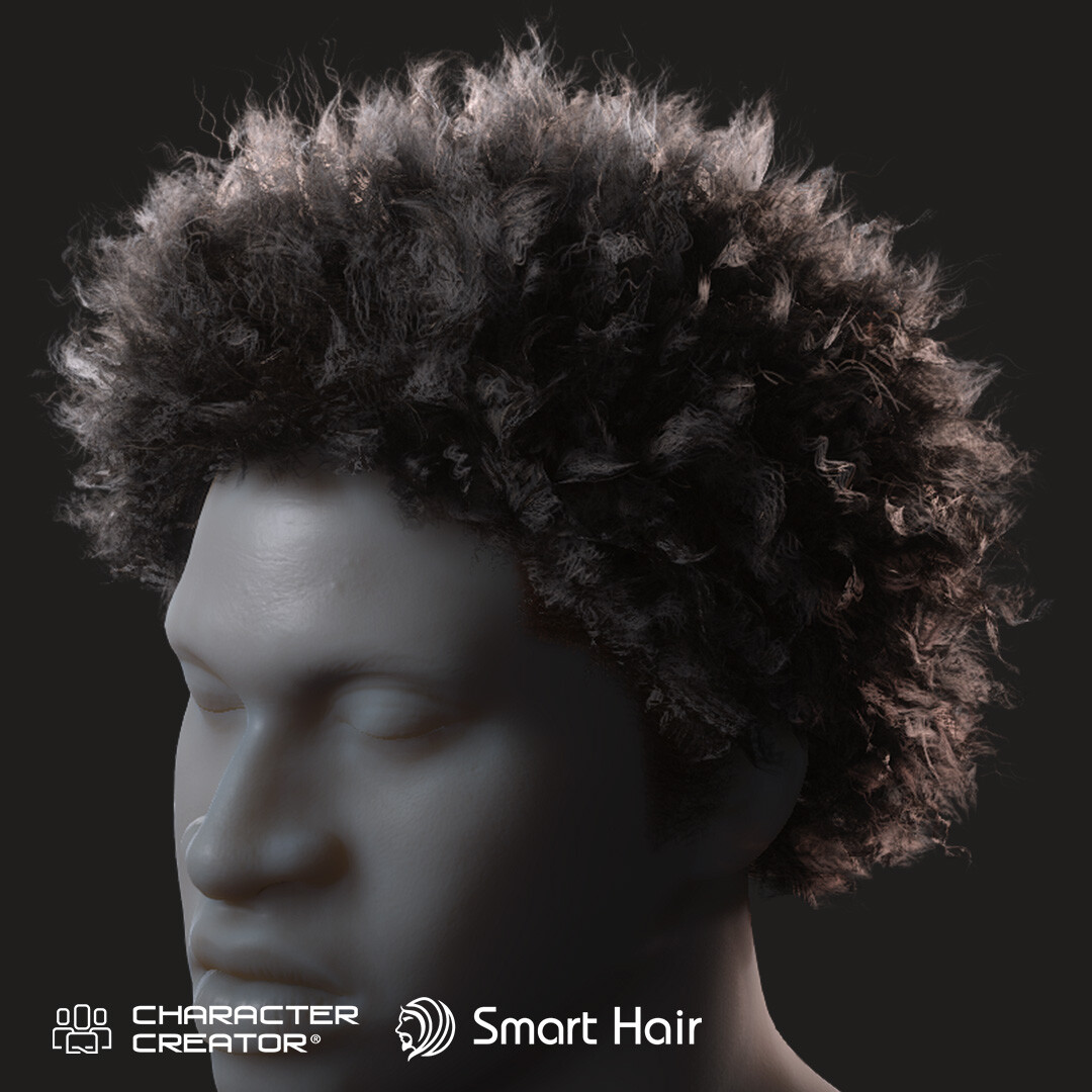 Reallusion Inc. - Medium Afro hairstyle