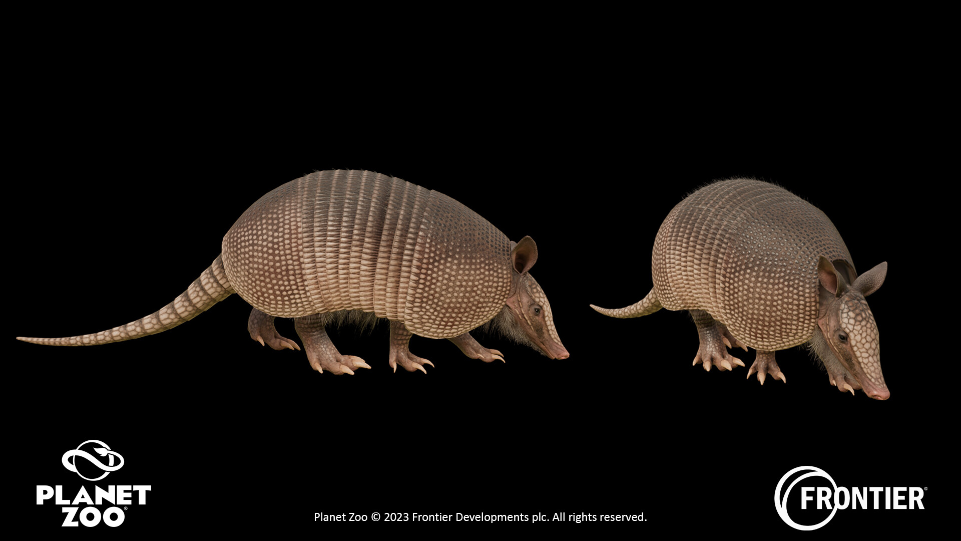 Victoria Hollingsworth - Nine-Banded Armadillo - Planet Zoo