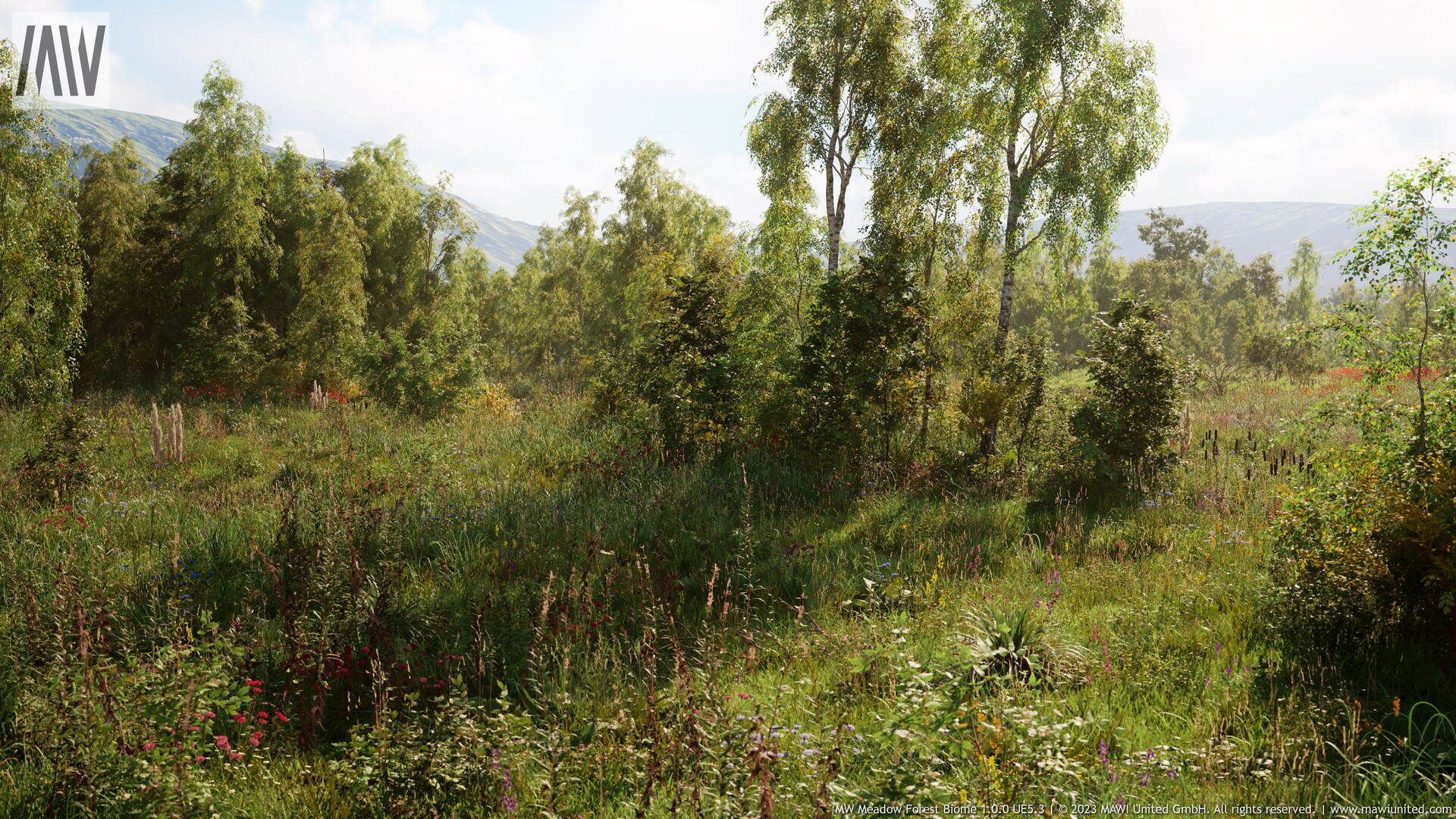 MAWI United - UE5.3 Meadow Forest Biome
