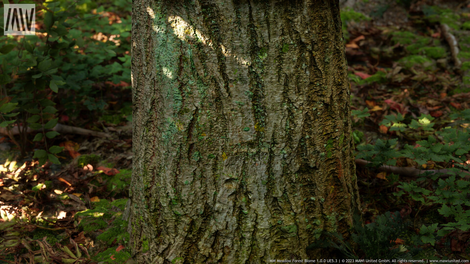 MAWI United - UE5.3 Meadow Forest Biome