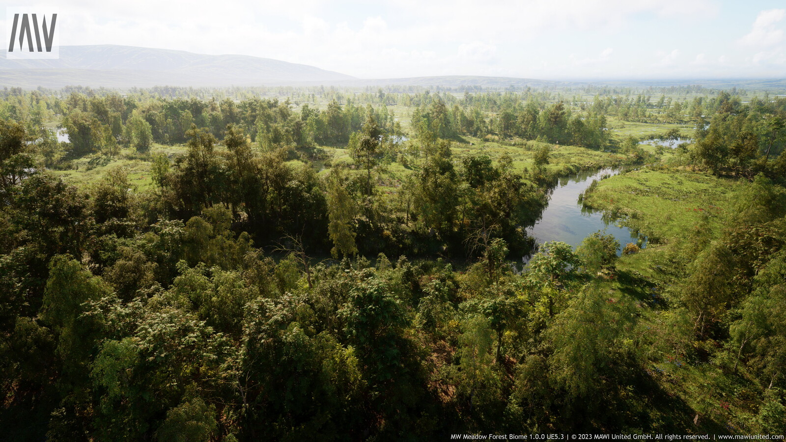 MAWI United - UE5.3 Meadow Forest Biome