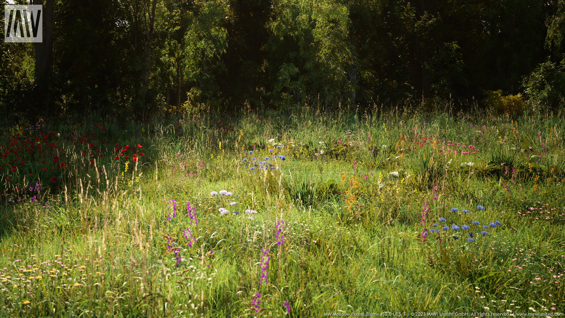 MAWI United - UE5.3 Meadow Forest Biome