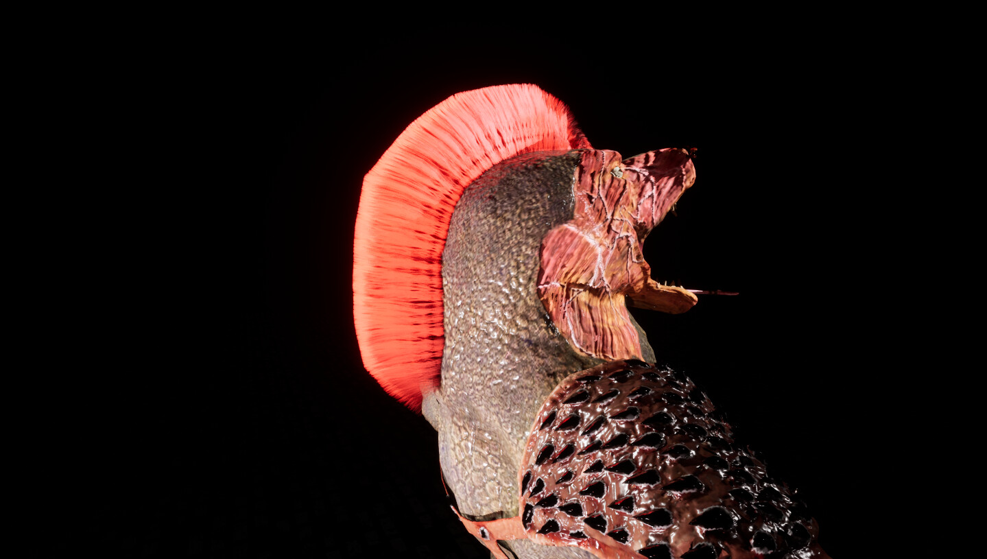 Todd Jurkevicius - Gex