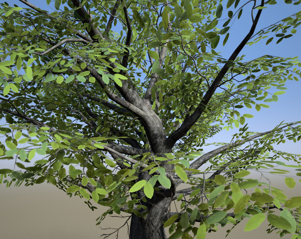 ArtStation - Learning Speedtree