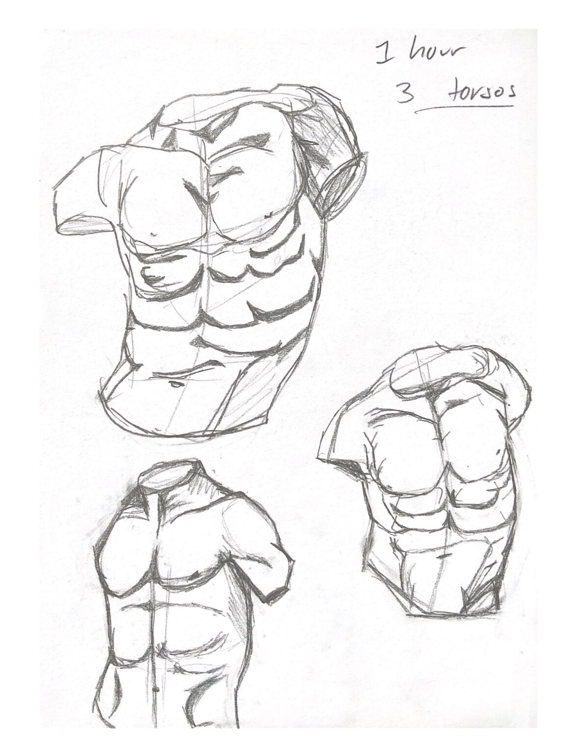 ArtStation - Life drawing