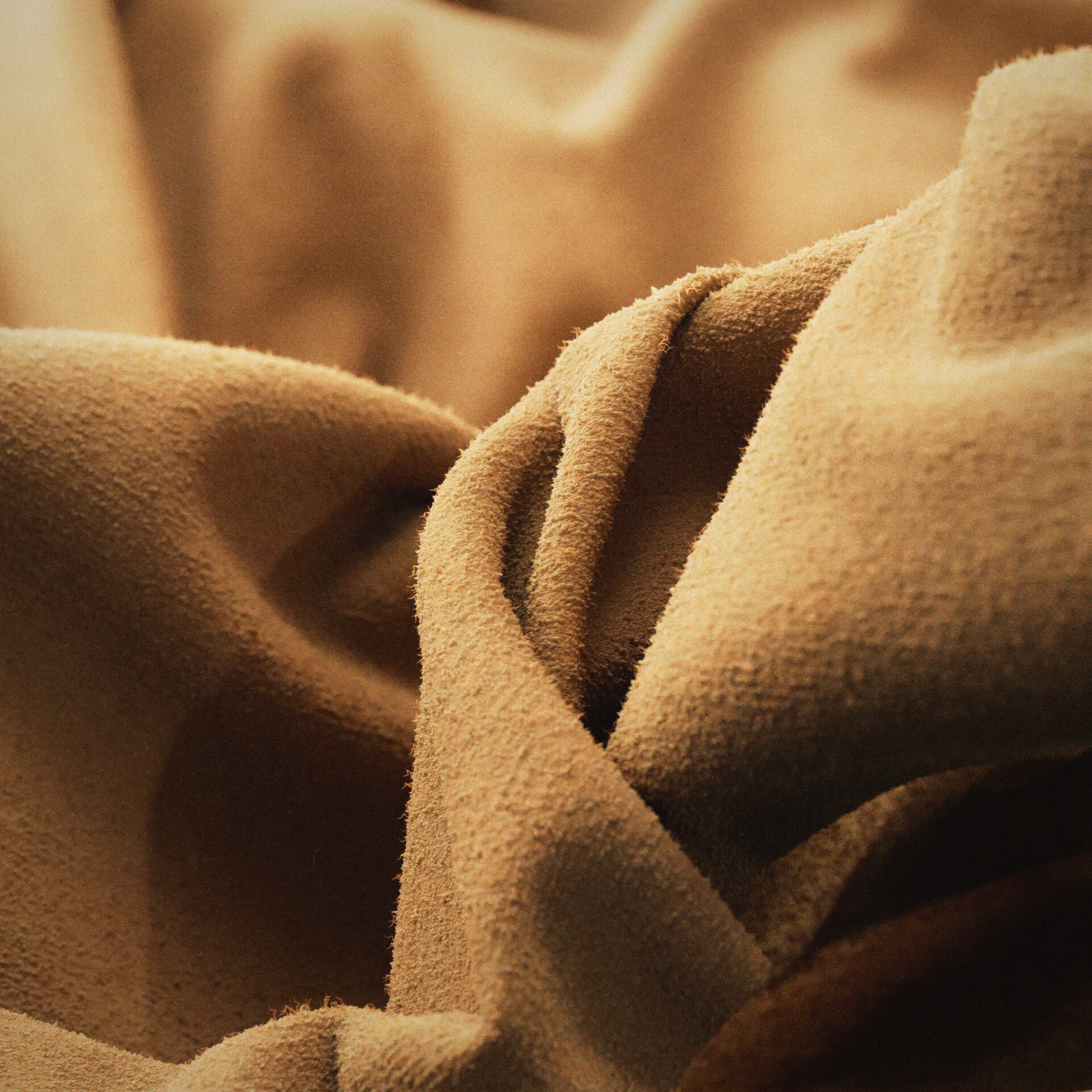 James Harding - Fabric Study