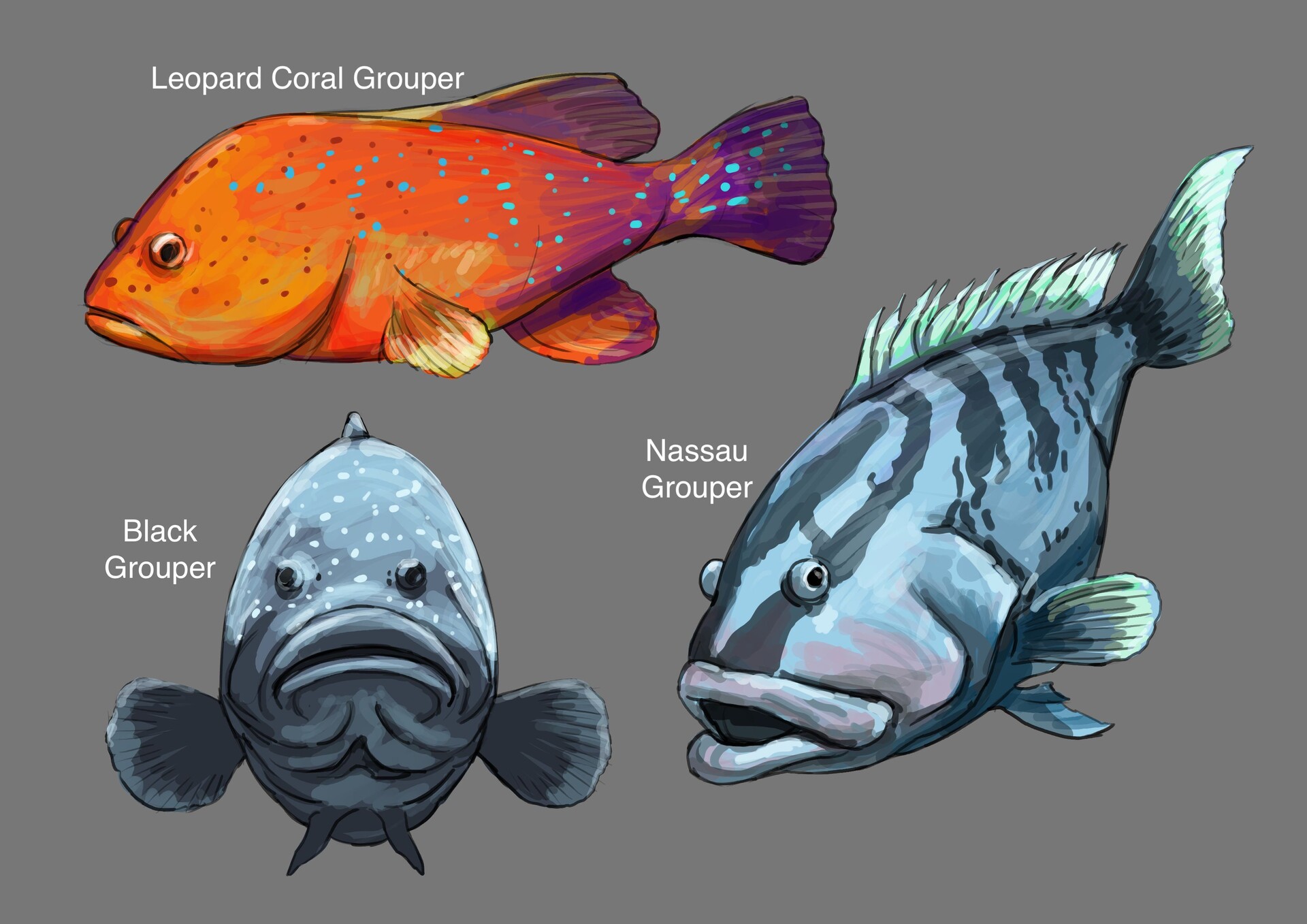 ArtStation - Grouper Fish