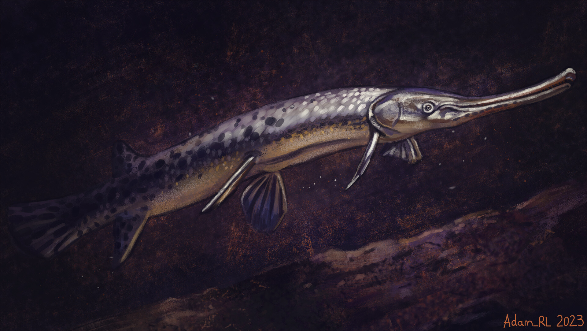 Adam _RL - Animal Studies (2020- 2024 )